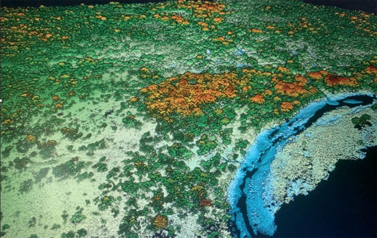 Mapping the resilience of tropical forests and savannas to global ...