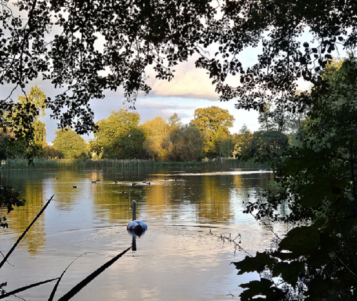 Leverhulme Centre for Nature Recovery | Pioneering Nature-Positive ...