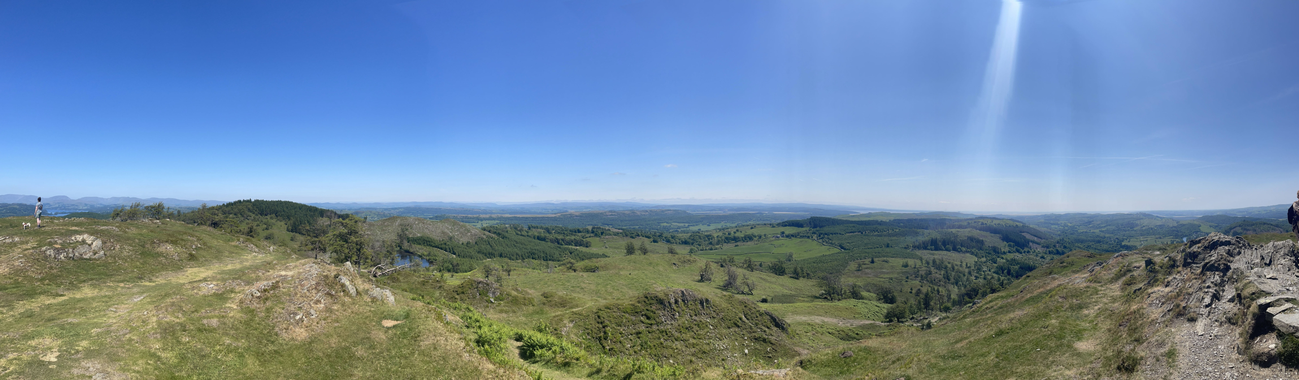 Leverhulme Centre for Nature Recovery | What is Nature Recovery?