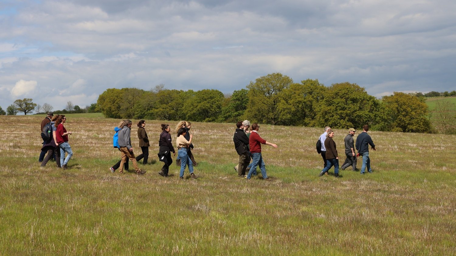 Leverhulme Centre for Nature Recovery | Stakeholder Engagement Best ...